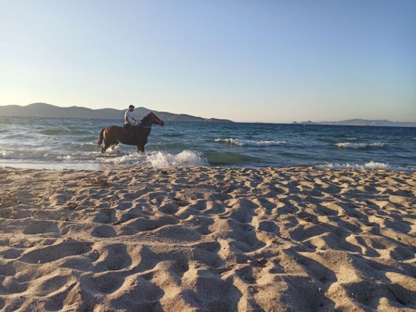 Kos: Horse Riding Experience on the Beach with Instructor - Final Thoughts