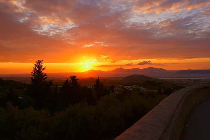 Kos Local Tasting - Wine, Oil & Honey - Who Will Love This Tour?