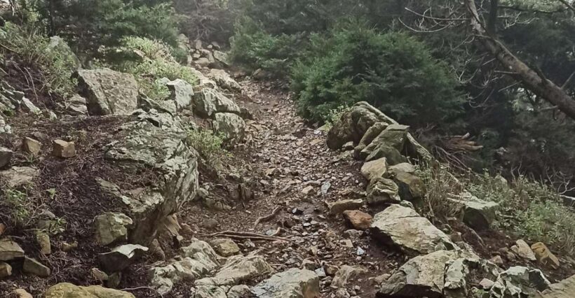 Kos: Moderate Hiking Tour on Dikaios Mountain - Detailed Breakdown of the Itinerary
