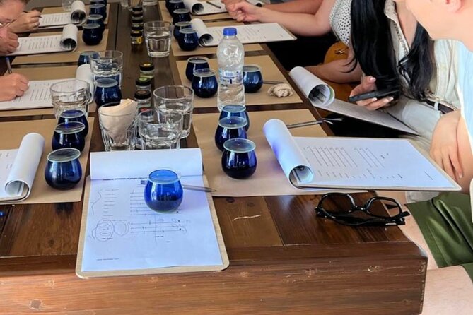 Kos Olive Oil Tasting - Olive Field Tour & Cooking Demostration - The Sum Up