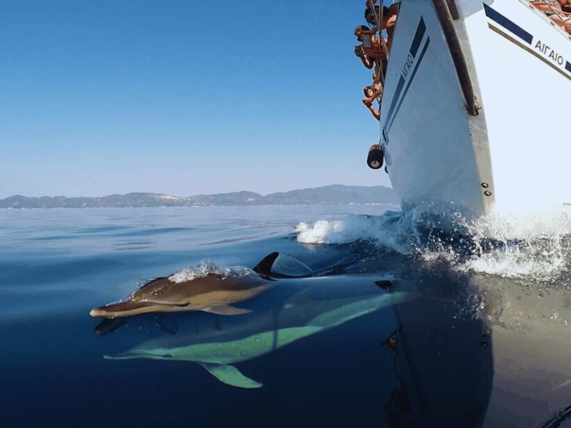 Kos: Small Group Full-Day Sailing with Meal, Drinks, & Swim - Itinerary Breakdown: Why It Works