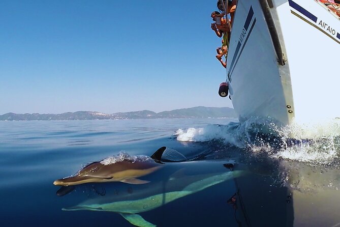 Kos: Small Group Full-Day Sailing With Meal, Drinks, & Swim - Cancellation and Booking Policies