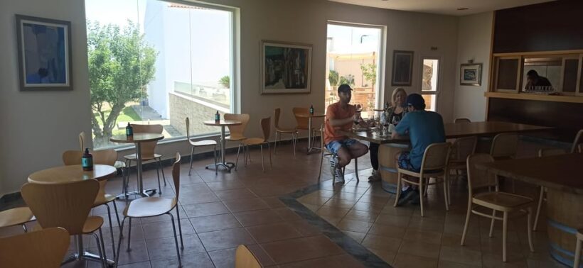 Kos: Wineries Tour w/ Wine Tastings & Transportation - Final Thoughts