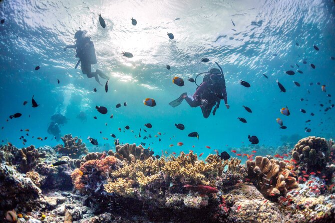 Kota Kinabalu Leisure Scuba Diving Trip (3 Dives) - The Sum Up