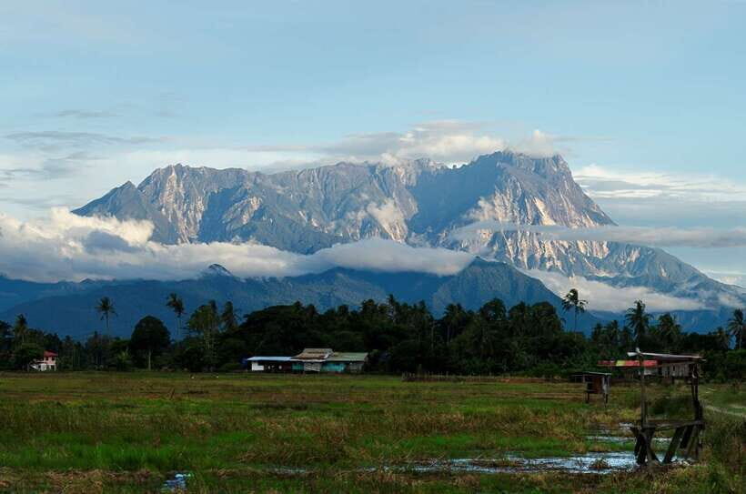 Kota Kinabalu: Private Kundasang and Poring Hot Spring Tour - Insights from the Reviews