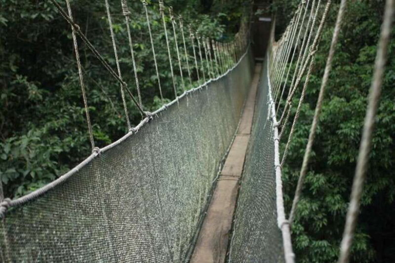 Kota Kinabalu: Private Kundasang and Poring Hot Spring Tour - Nabalu Handicraft Market: A Cultural Snapshot