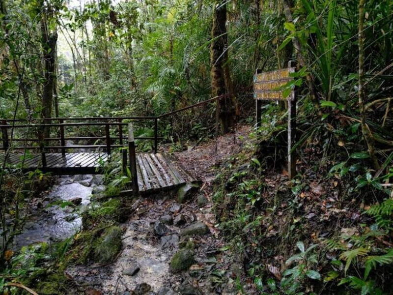 Kota Kinabalu: Private Kundasang and Poring Hot Spring Tour - Practical Details and What to Expect