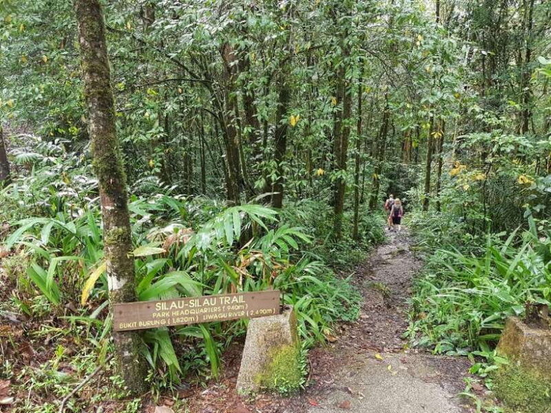 Kota Kinabalu: Private Kundasang and Poring Hot Spring Tour - Final Thoughts