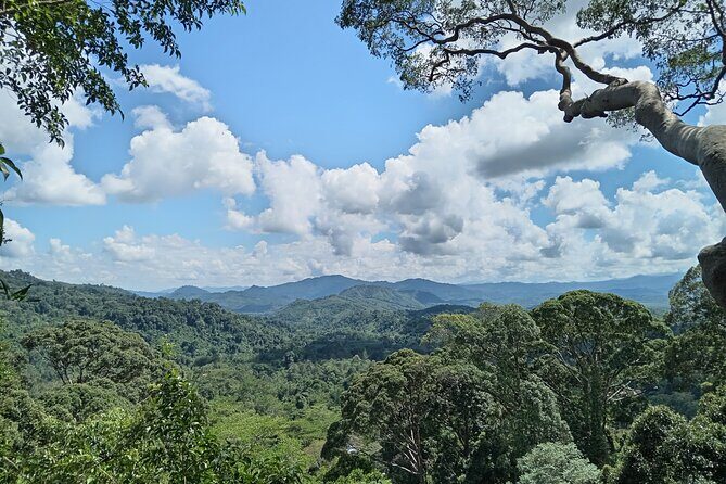 Kota Kinabalu to Kundasang Private Day Tour and Poring Hot SPA - Practical Details for Travelers