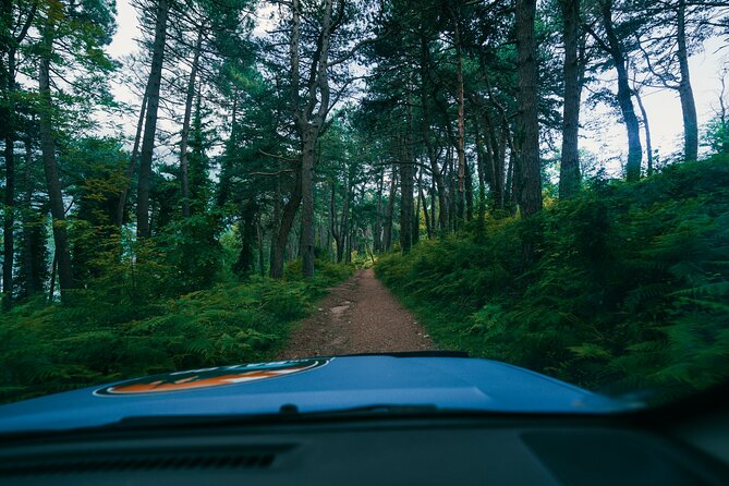 Kotor Jeep-Expedition : Fortress Trails & Local Food Picnic - Meeting and Pickup