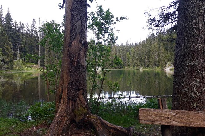 Kotor to Durmitor - Black Lake & Djurdjevica Tara Bridge tour - Authentic Experiences and Traveler Feedback