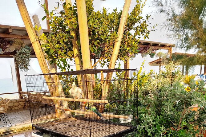 kourouta sandy beach all included from Katakolo port - Who Should Consider This Tour?