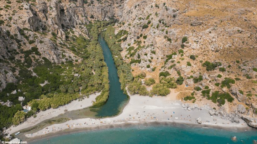 Kourtaliotiko Gorge & Preveli / Kalypso Beach | Private - An Authentic Day Through Crete’s Natural Wonders