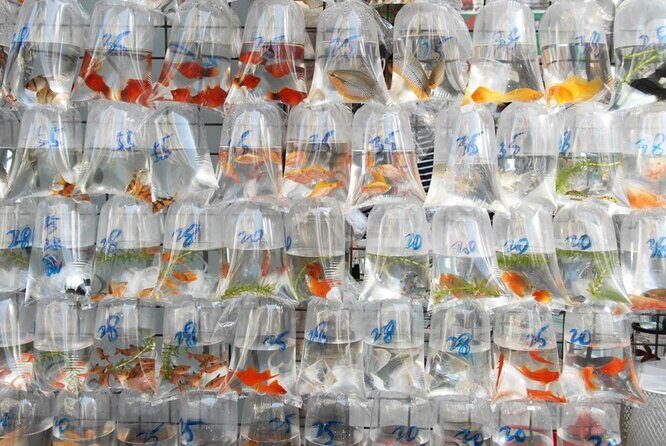 Kowloon Tour + Fun Tasting () | 100+ booked - A Deep Dive into the Kowloon Tour + Fun Tasting