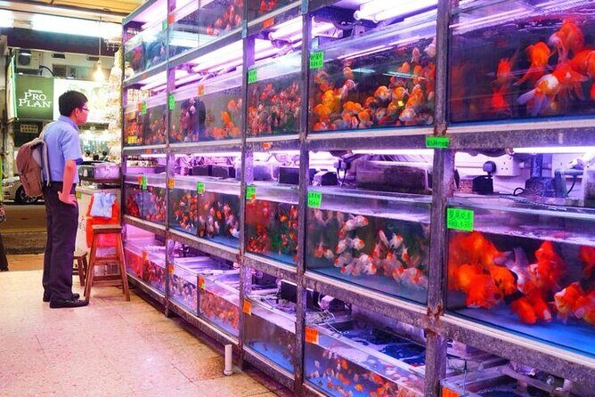 Kowloon Tour + Fun Tasting () | 100+ booked - FAQ
