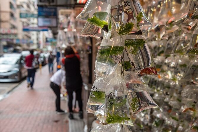 Kowloon Walking Tour on the Dark Side of Hong Kong - What Travelers Say