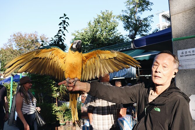 Kowloon Walking Tour on the Dark Side of Hong Kong - The Sum Up