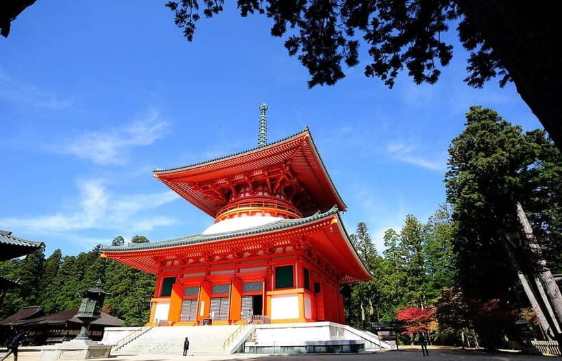 Koyasan: A Mysterious Meditation Journey - Key Points: What You Should Know