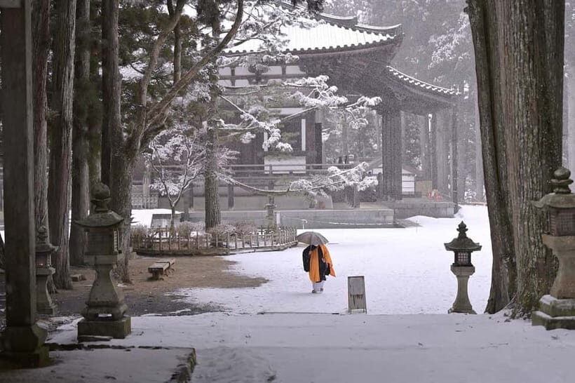 Koyasan: A Mysterious Meditation Journey - Exploring Koyasan: An In-Depth Look