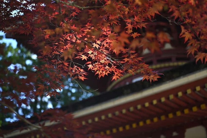 Koyasan: A Mysterious Meditation Journey - Final Thoughts