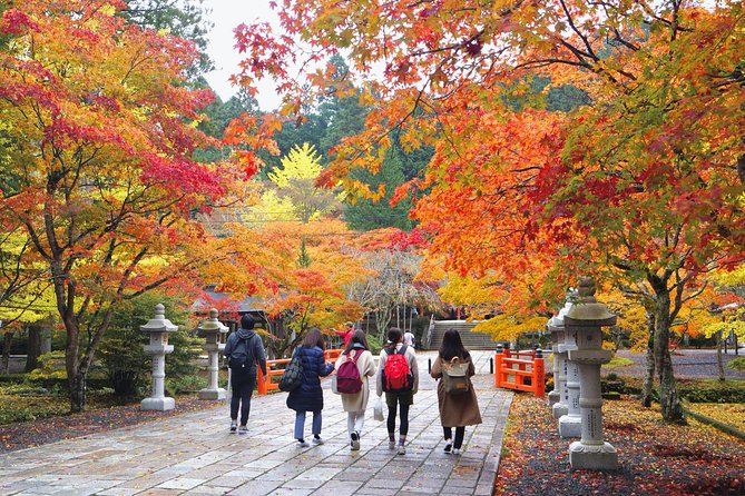 Koyasan Full-Day Private Tour - Tour Inclusions