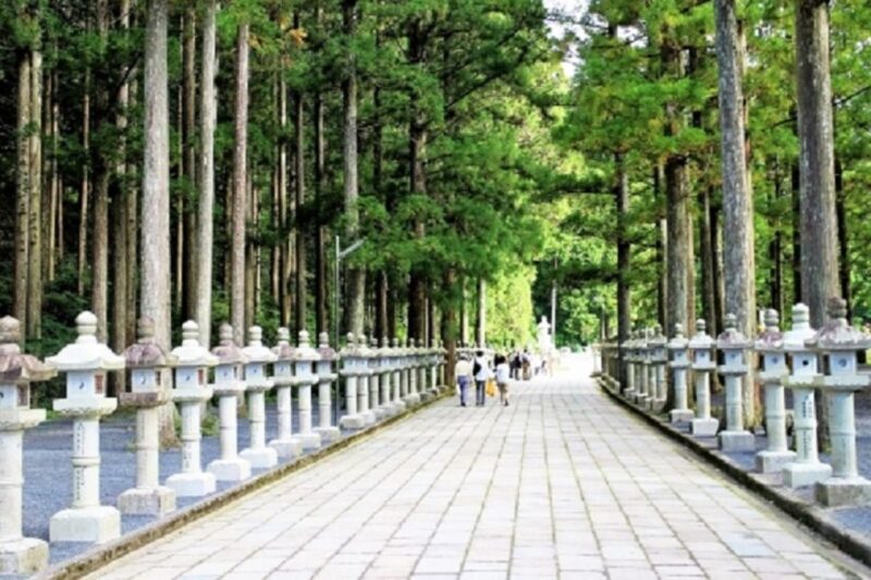 Koyasan: Mt. Koya Guided Private Walking Day Tour - Guided Tour Features