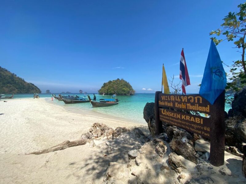 Krabi 4 Island One Day Tour by Speed boat or Longtail boat - Who Should Consider This Tour?