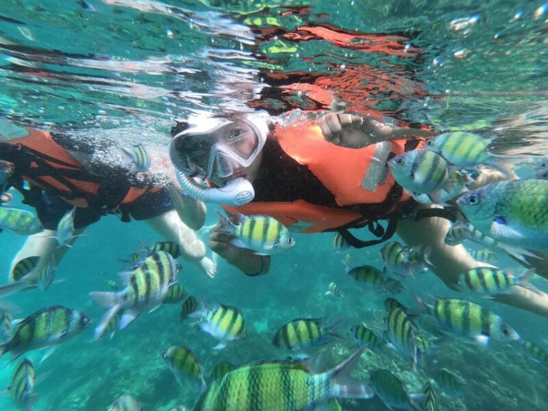 Krabi 4 Island One Day Tour by Speed boat or Longtail boat - FAQs