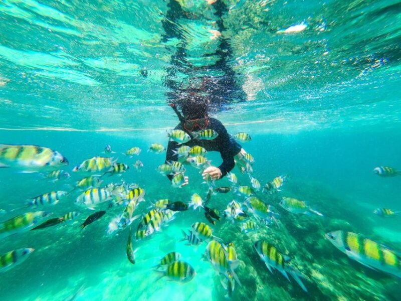 Krabi: 4 Islands Private Full-Day Tour by Longtail Boat - Practical Details and Tips