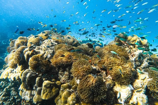 Krabi 7 Islands Sunset & Bioluminescence by Longtail boat - The Value and Who It Suits