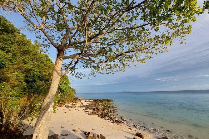 Krabi 7 Islands Sunset Tour with Bioluminescent Plankton + BBQ - Final Thoughts: Is It Worth It?