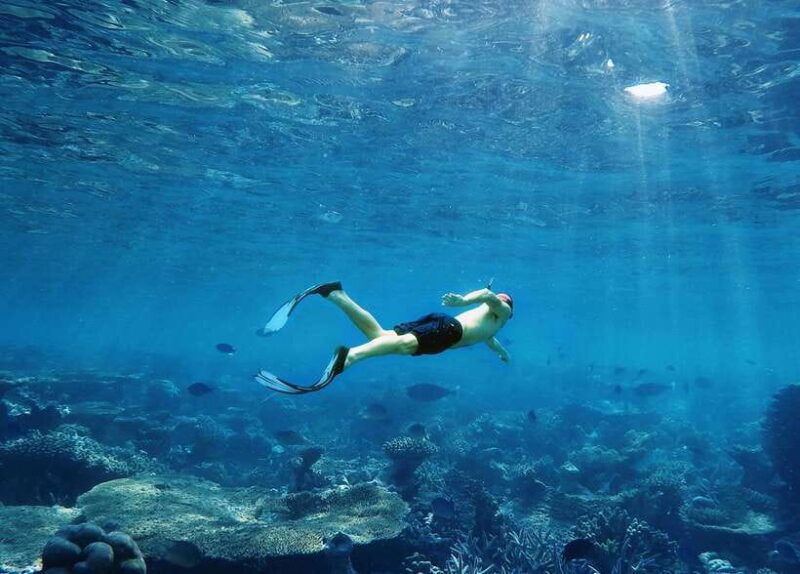 Krabi: 7 Islands Sunset Tour with Plankton Swim and BBQ - Who Is This Tour Best For?