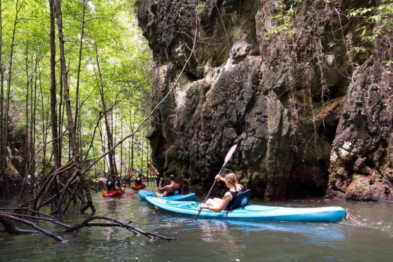 Krabi: A Kayaking Odyssey through Din Daeng Mangrove Maze - A Step-by-Step Look at the Itinerary