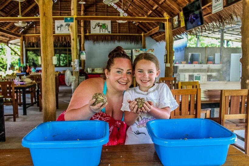 Krabi: Ao Nang Elephant Sanctuary Half-Day Tour - Who Should Consider This Tour?