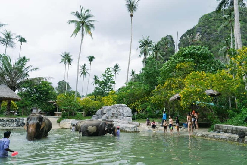 Krabi: Ao Nang Elephant Sanctuary Half-Day Tour - FAQ