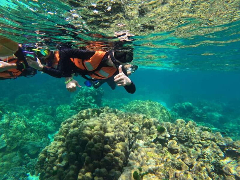 Krabi Aonang: Koh Rok & Koh Haa Snorkelling Day Trip + Lunch - Authentic Feedback from Travelers