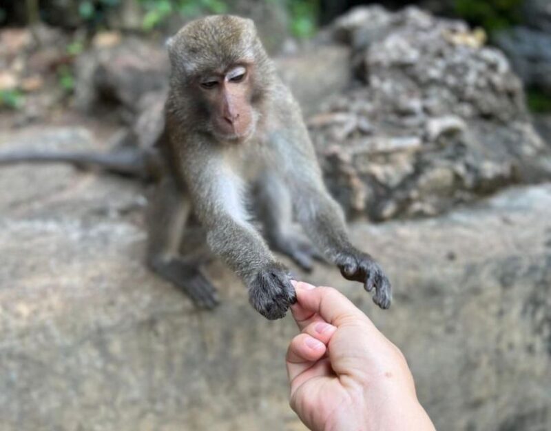 Krabi: ATV Adventure - Practical Tips for Travelers