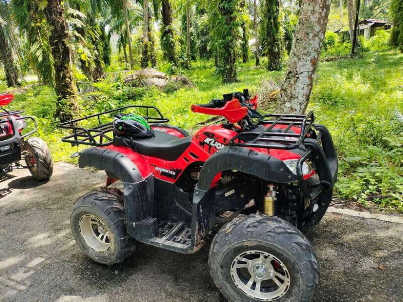 Krabi : ATV Jungle adventure with round trip transfer - Key Points