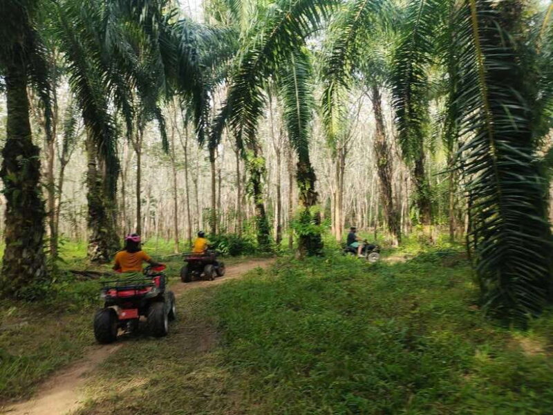 Krabi : ATV Jungle adventure with round trip transfer - The Sum Up