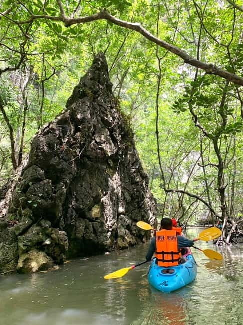 Krabi: ATV Jungle Bash & Kayak Odyssey in Din Daeng Mangrove - Who Should Consider This Tour?