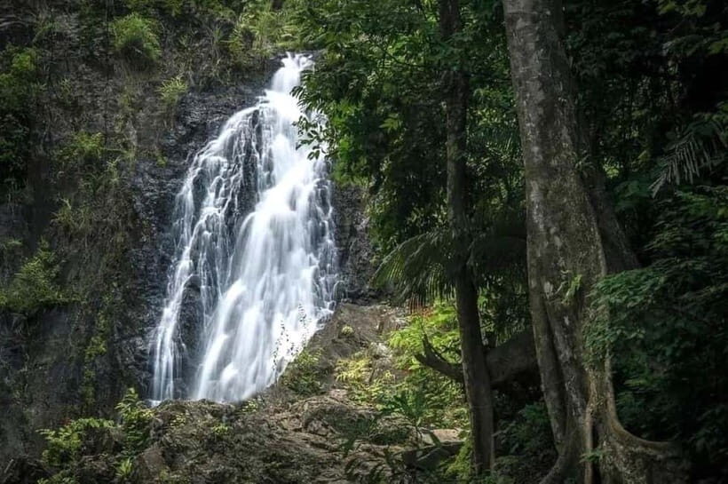 Krabi: Back to Nature Into the Jurassic Wild Tour - Key Points