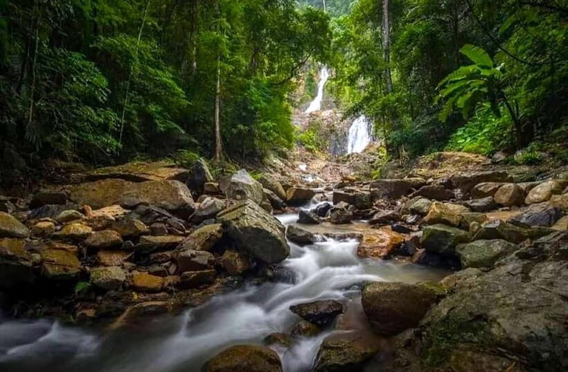 Krabi: Back to Nature Into the Jurassic Wild Tour - Real Traveler Insights