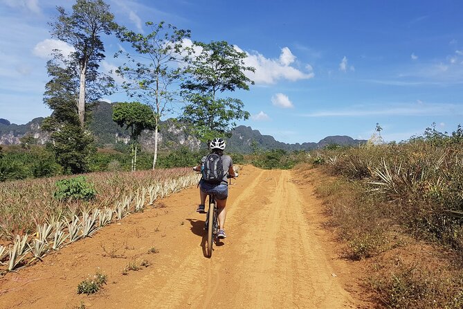 Krabi Countryside Eco Cycling Tour - Multiple Trails - What Makes This Tour Stand Out?