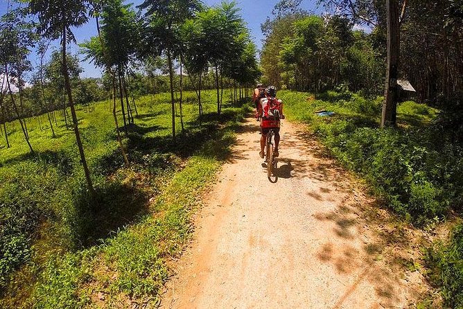 Krabi Countryside Eco Cycling Tour - Multiple Trails - Potential Drawbacks and Considerations