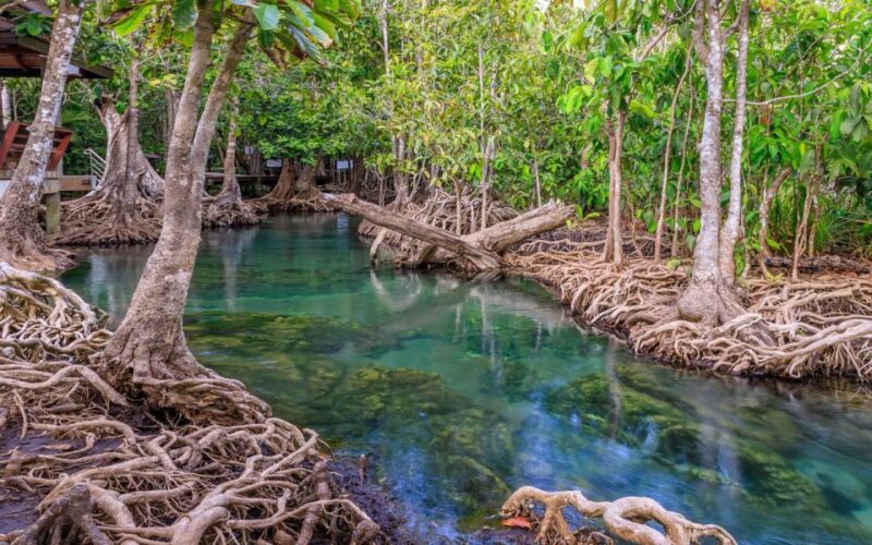 Krabi: Customizable Private Day Tour with Driver - What Travelers Say