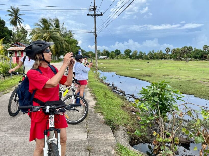 Krabi: Cycling Tour To Krabi - Overview of the Cycling Adventure