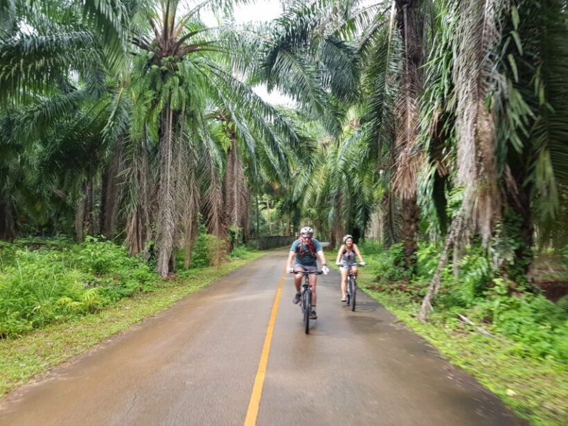 Krabi: Cycling Tour To Krabi - Practicalities: What to Bring and Consider