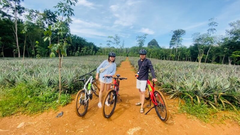 Krabi: Cycling Tour To Krabi - Key Points