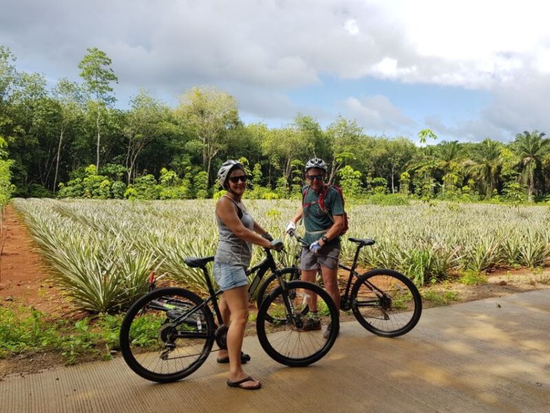Krabi: Cycling Tour To Krabi - Why This Tour Is a Great Choice