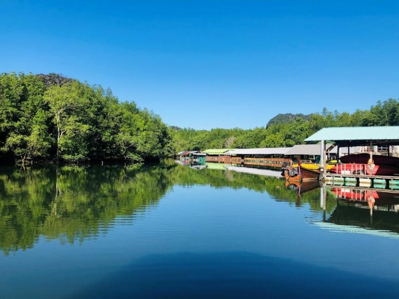 Krabi: Discover Krabi's Natural Beauty With Kayaking Tour - Authentic Experiences and Reviews